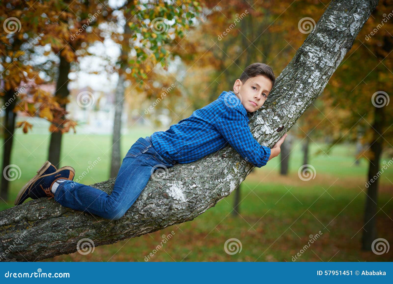 Boy Climbs Up the Tree in Park Stock Image - Image of play, person ...