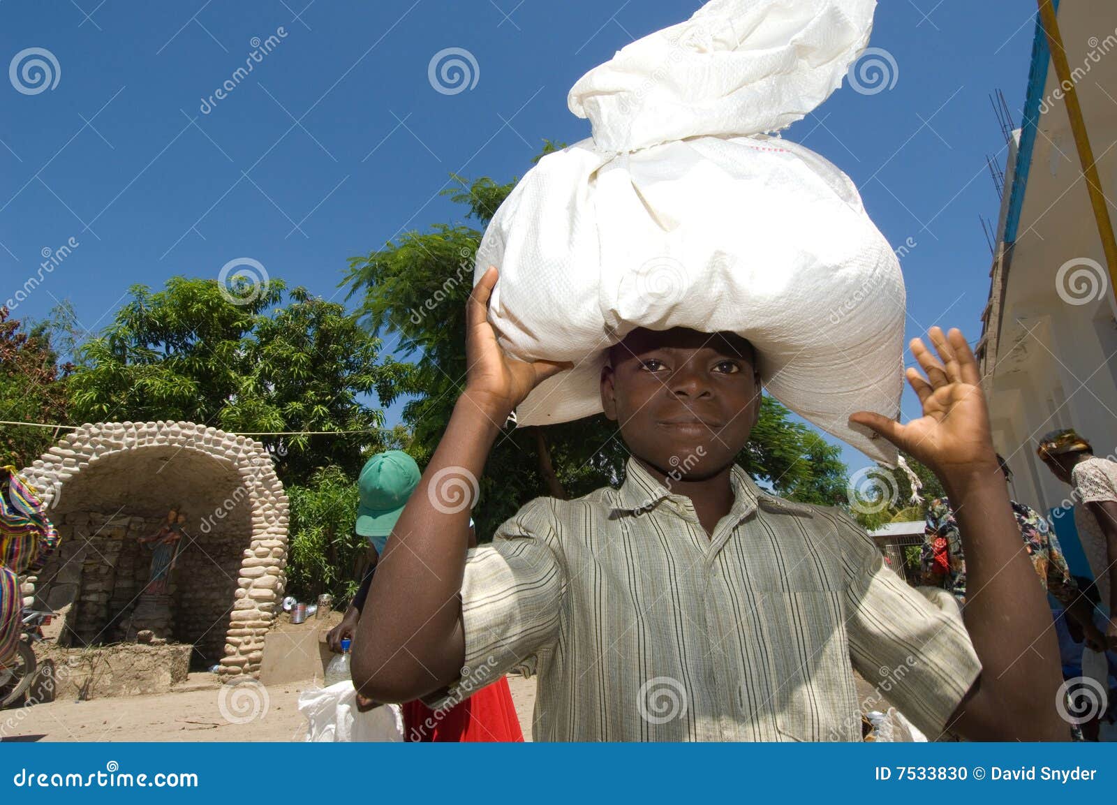 Boy Collecting Beans editorial image. Image of destruction - 7533830