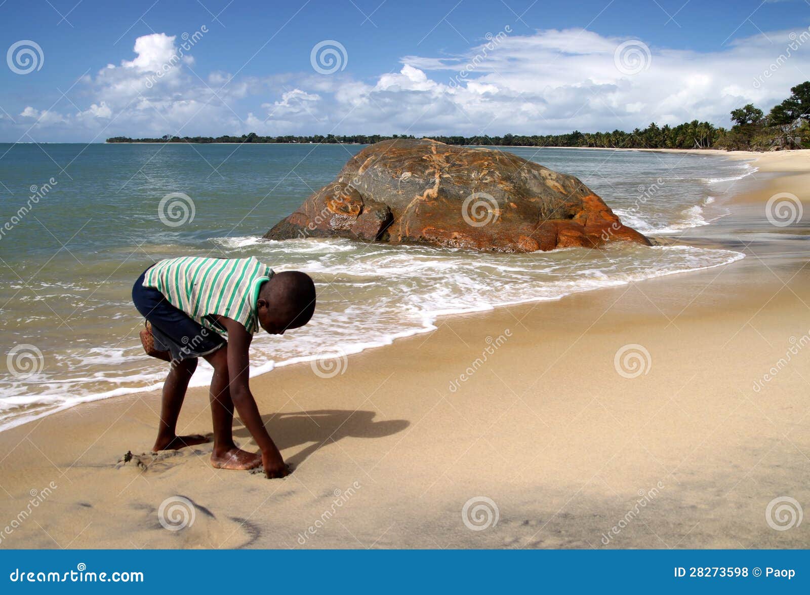 Boy collecting seashells editorial stock photo. Image of innocent ...