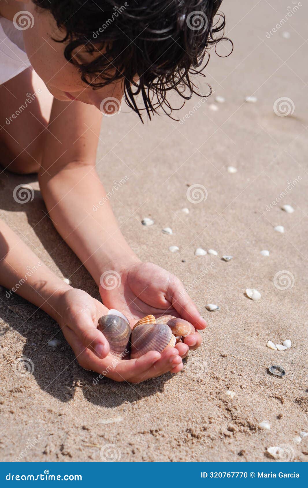 Boy Collecting Shells on the Beach in Summer Stock Photo - Image of ...