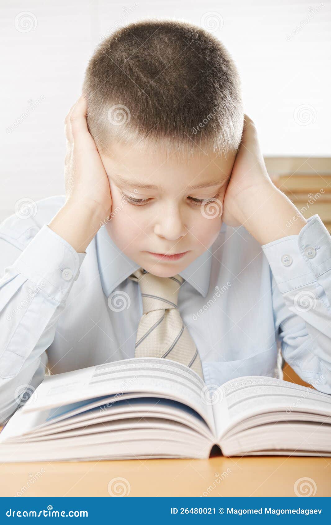 Boy Concentrated on Reading Stock Image - Image of formal, shirt: 26480021