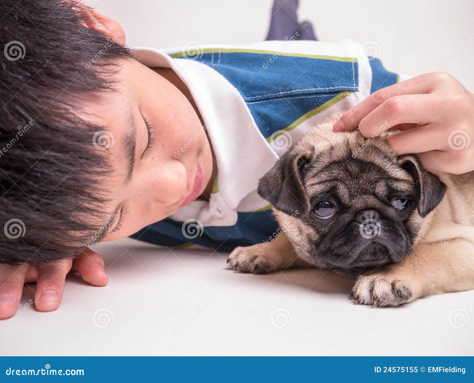 Teen Boy and His Cute Pet Pug Dog Stock Image - Image of doggie, puppy ...