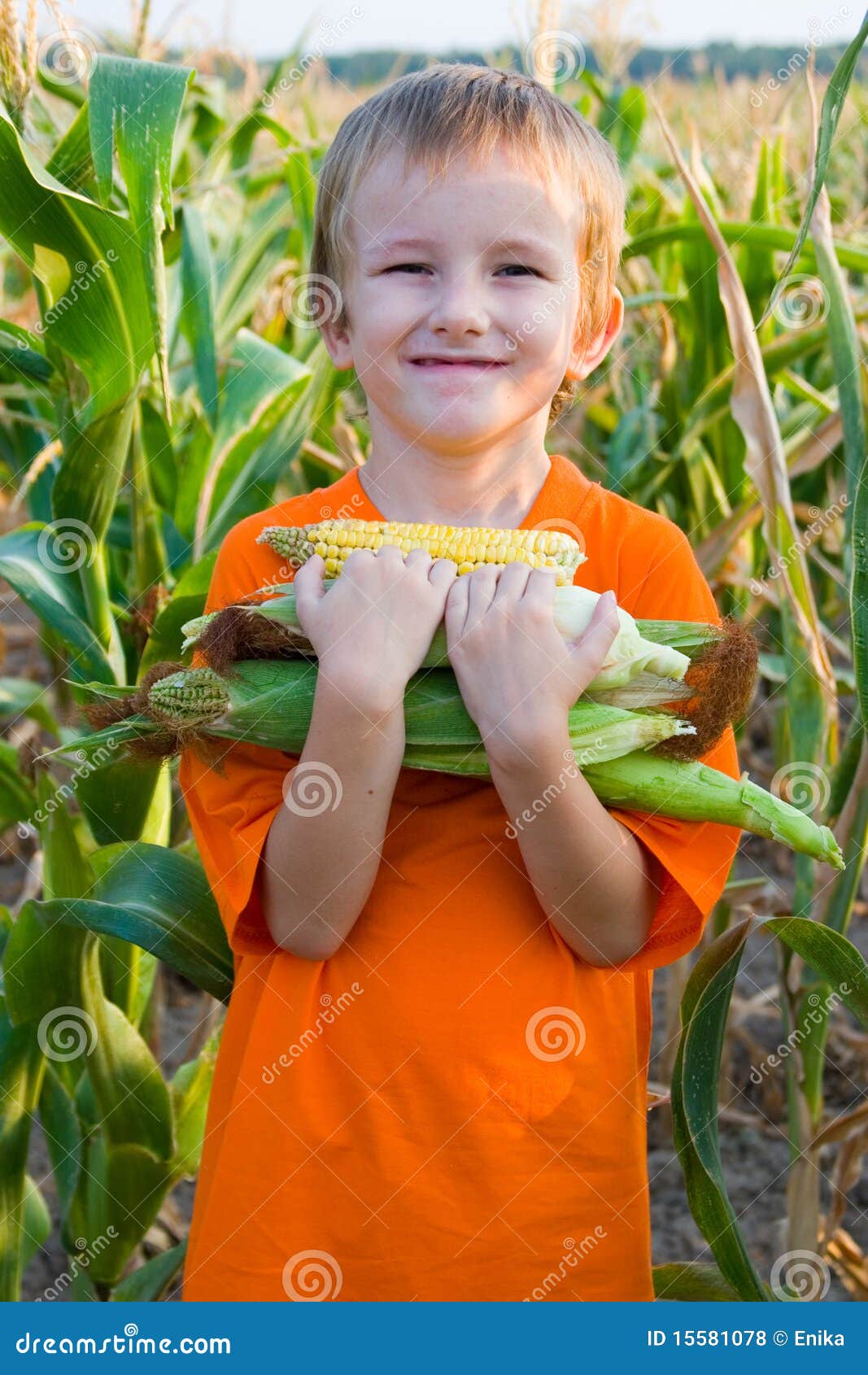 Boy with the corn stock photo. Image of healthy, life - 15581078