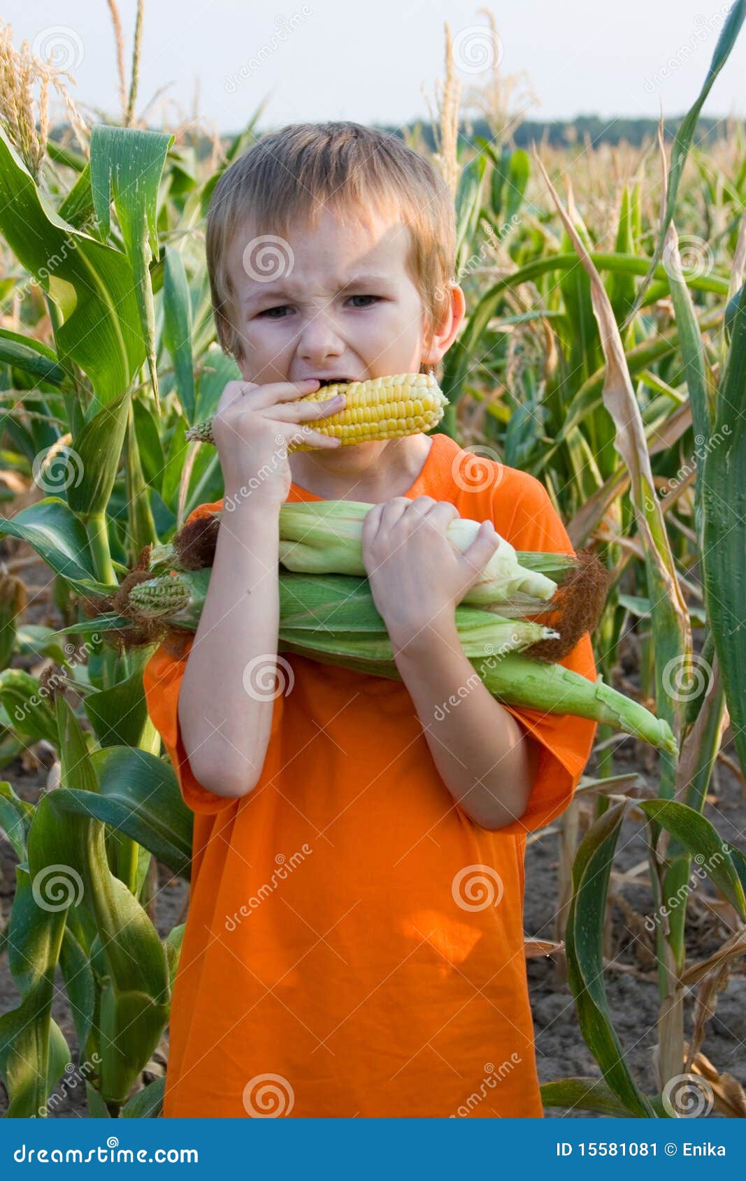 Boy with the Corn in His Teeth Stock Image - Image of kids, lifestyle ...