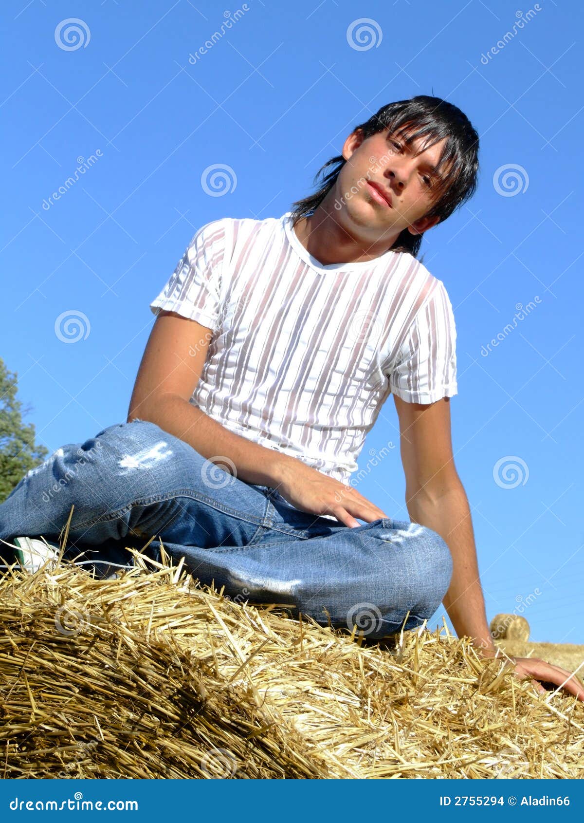 Boy in the country stock photo. Image of attractive, summer - 2755294