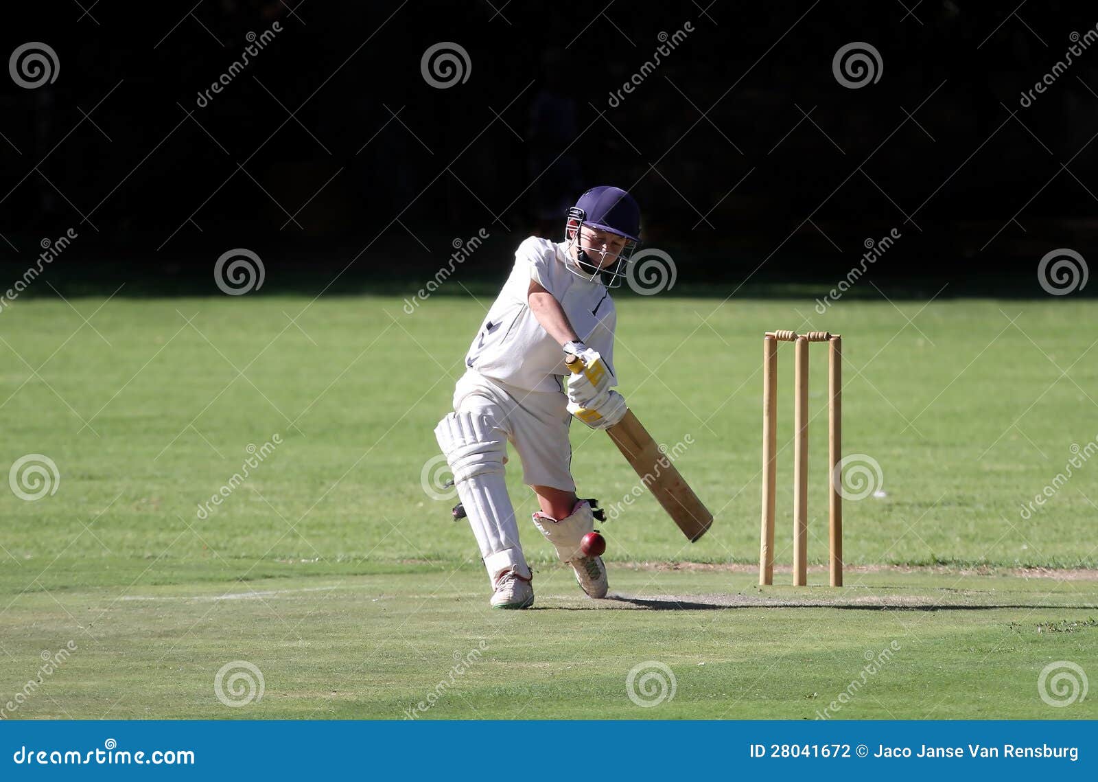 Boy cricket cover drive stock photo. Image of young, cricket - 28041672