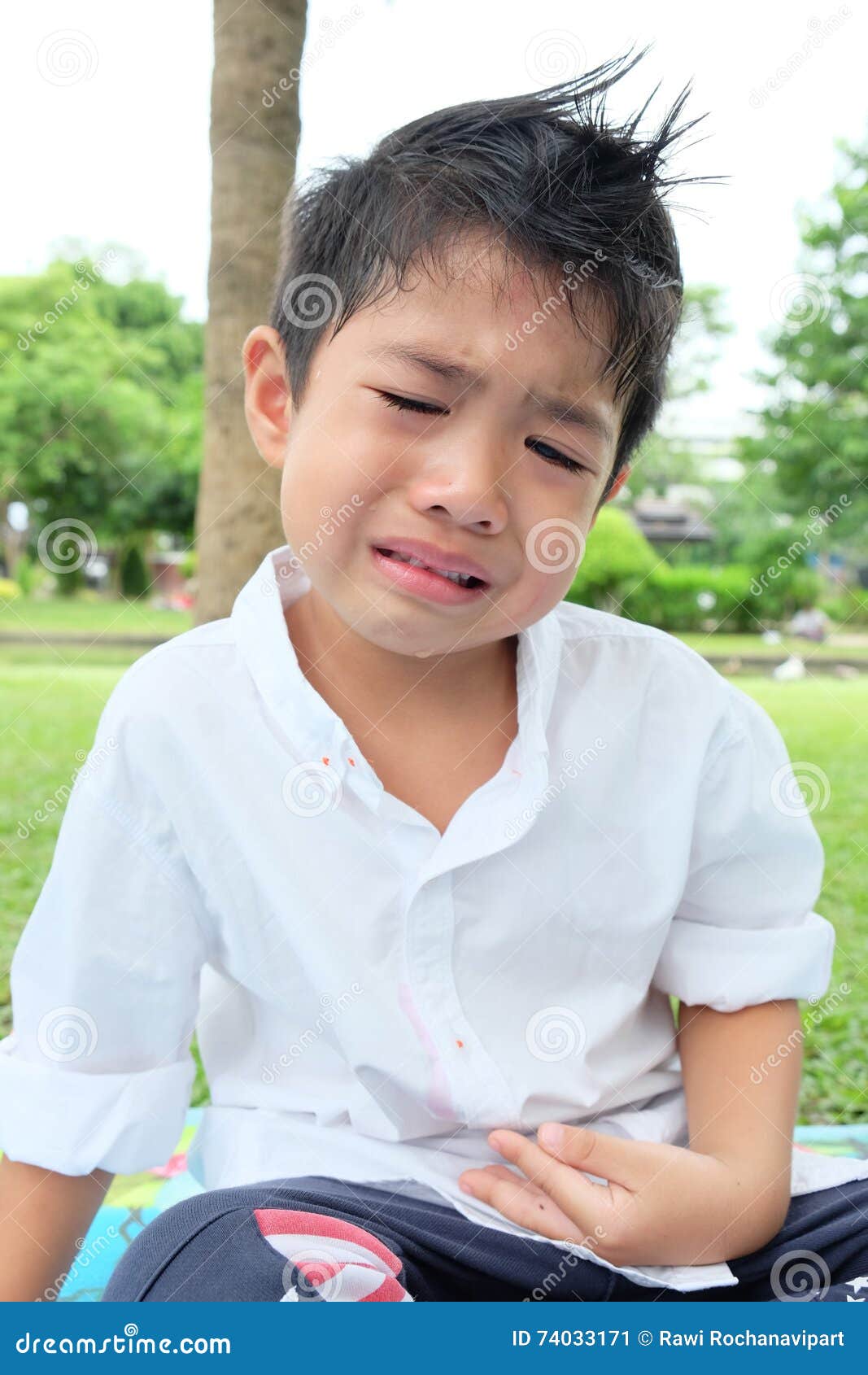 Boy crying stock image. Image of park, dissatisfied, fury - 74033171