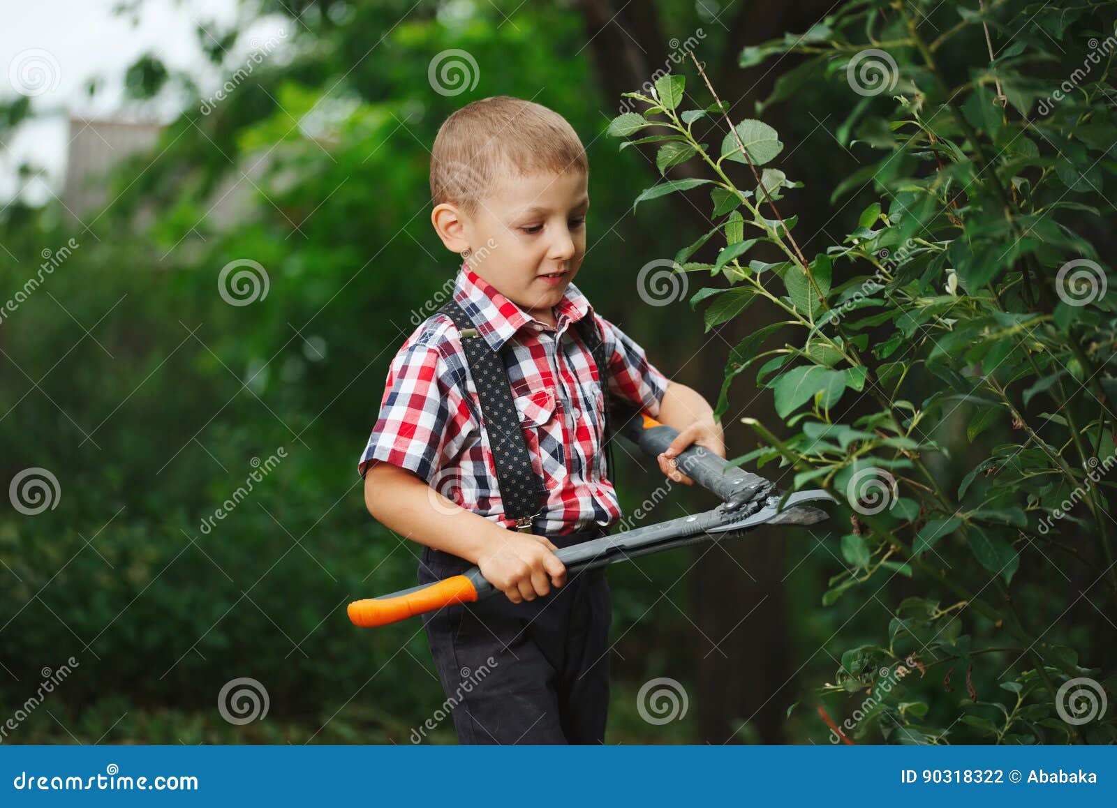 Boy Cuts Off Branches of the Shrub Shears Stock Photo - Image of plant ...