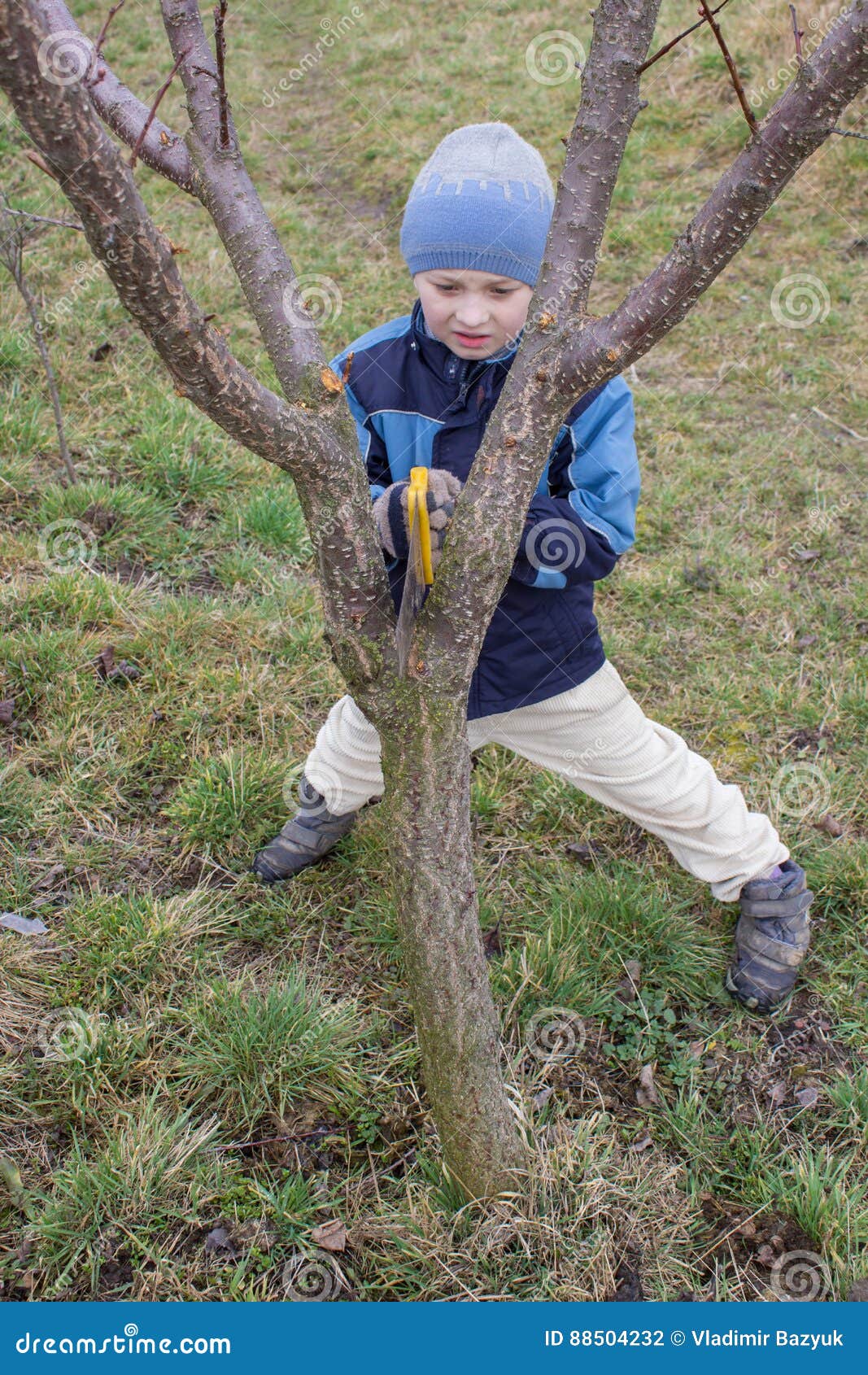 Boy cutting tree stock photo. Image of spring, work, industry - 88504232