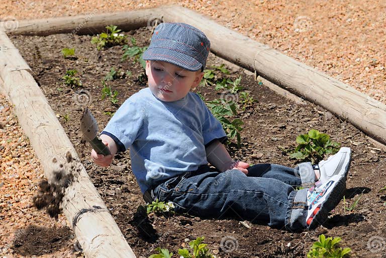 Boy digging in dirt stock photo. Image of little, cute - 4963464