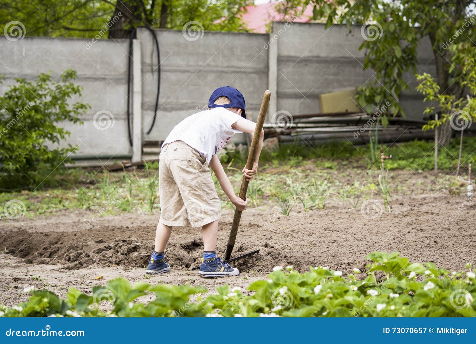 Boy digging a garden stock image. Image of education - 73070657