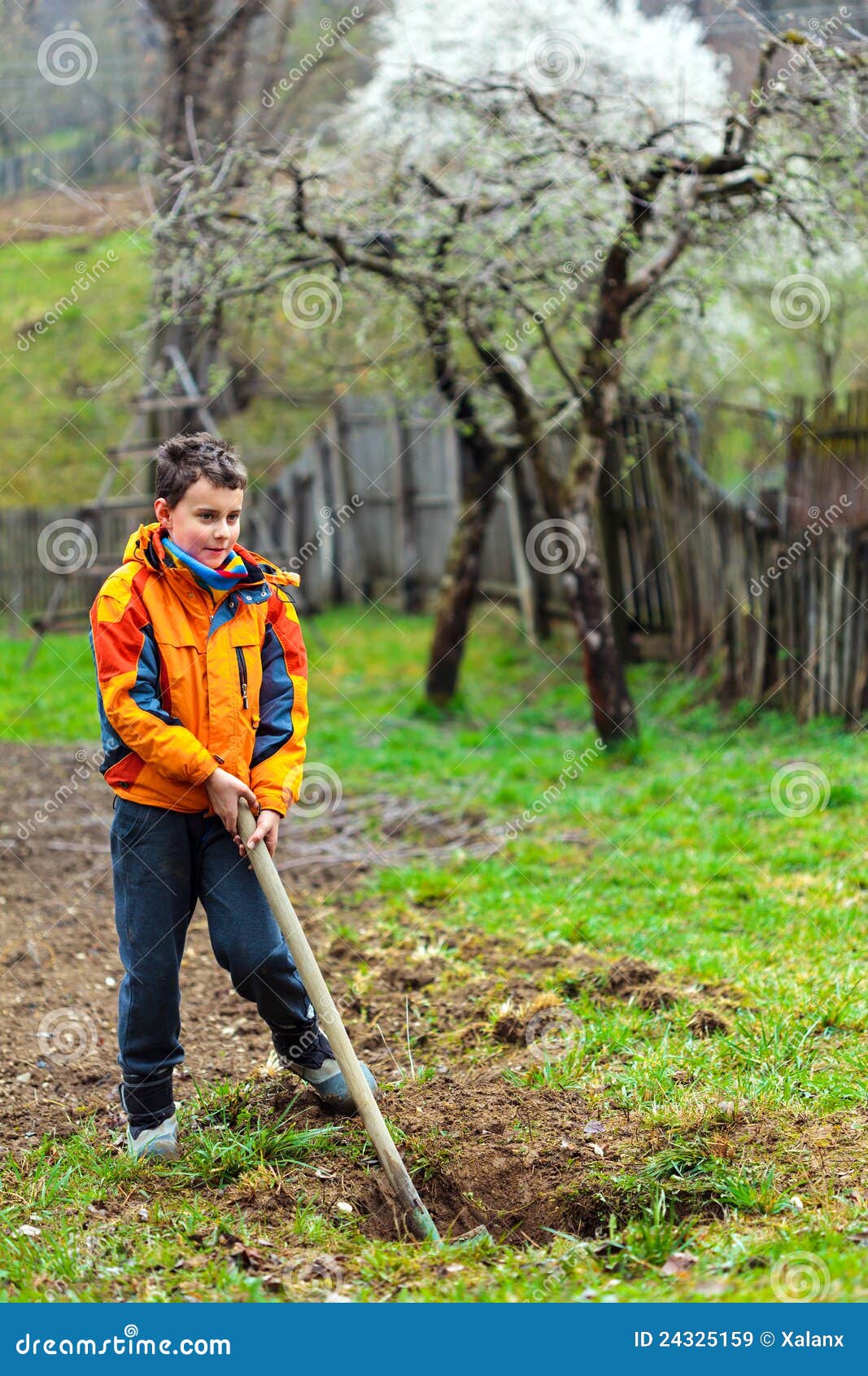 Boy digging in the ground stock image. Image of plant - 24325159