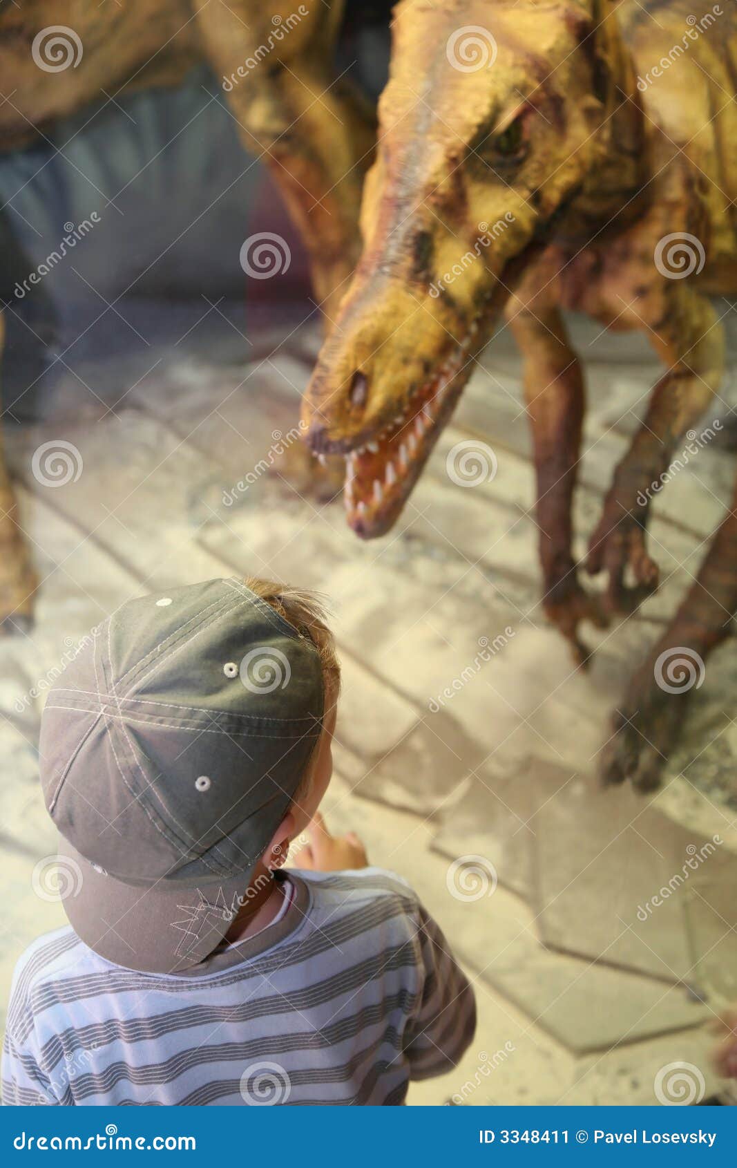 Boy and dinosaur in museum editorial photo. Image of close - 3348411
