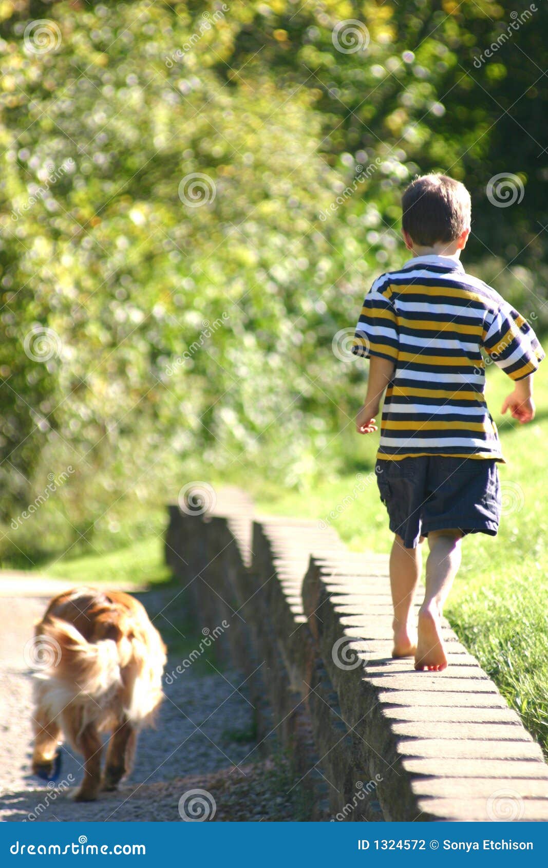 Boy and Dog stock photo. Image of buddies, male, childhood - 1324572