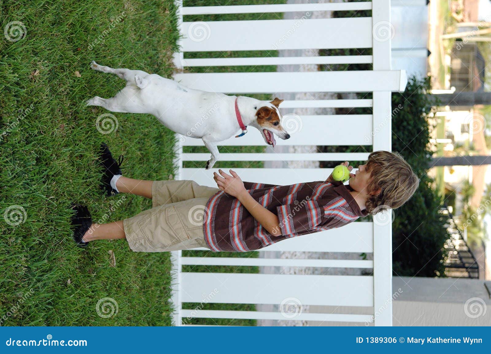 Boy and dog stock photo. Image of happy, companion, play - 1389306
