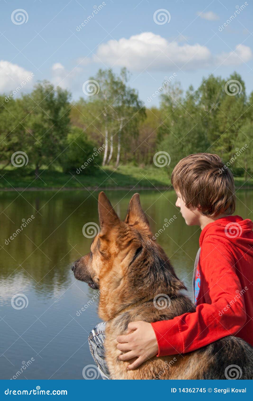 Boy and dog stock image. Image of attention, single, scene - 14362745