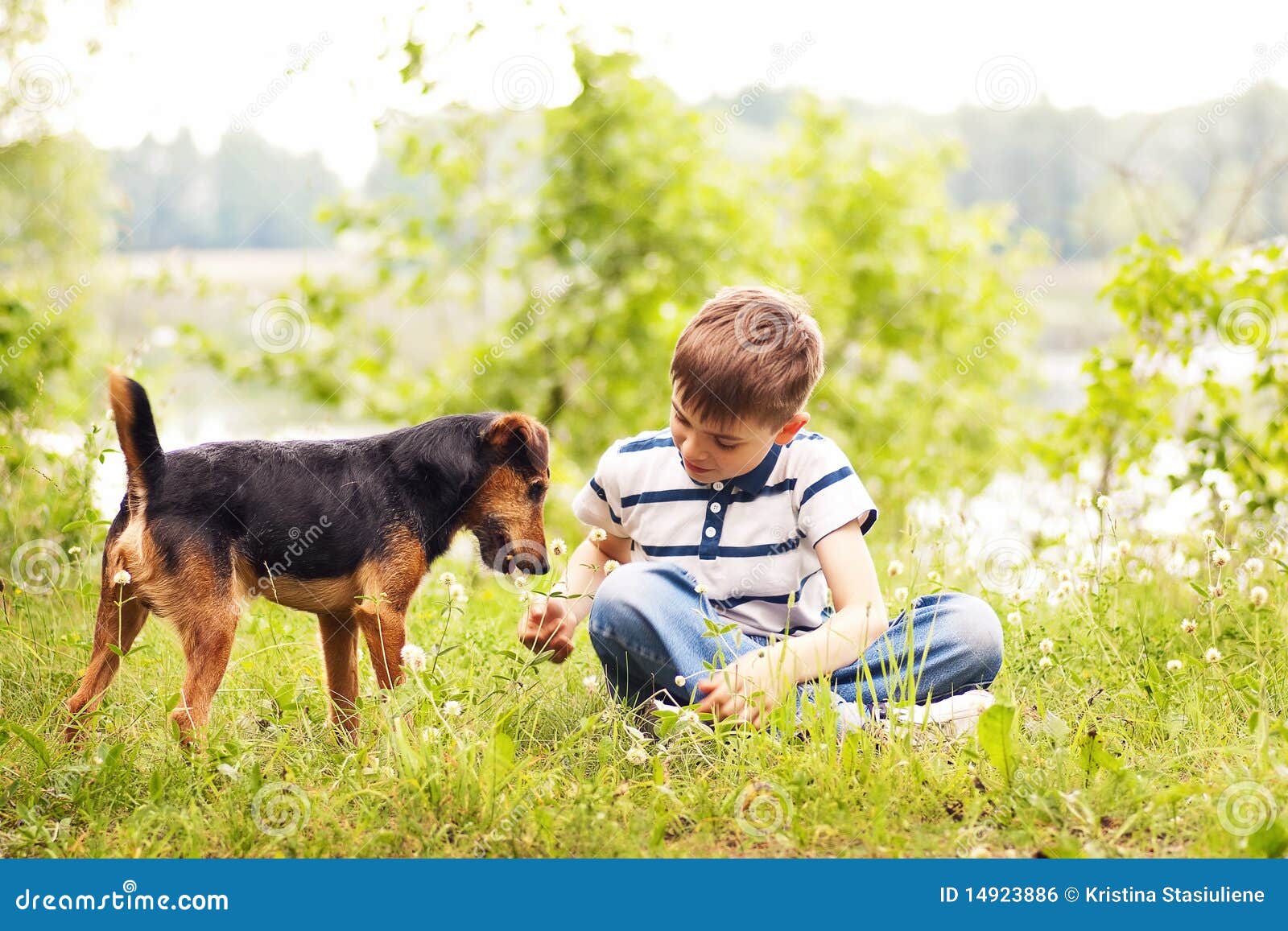 Boy and dog stock photo. Image of caucasian, outside - 14923886