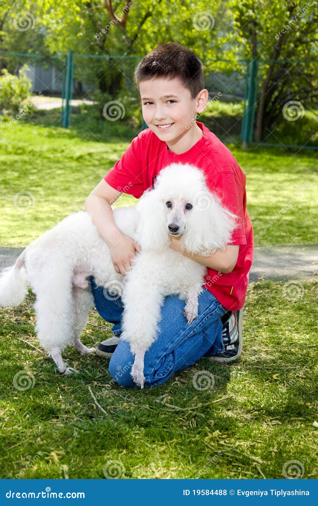 Boy with dog stock photo. Image of animal, portrait, human - 19584488