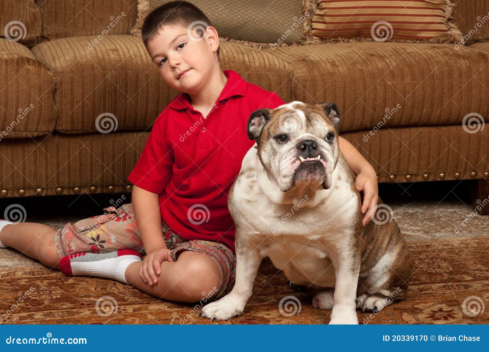 Boy and Dog stock photo. Image of purebred, smile, child - 20339170