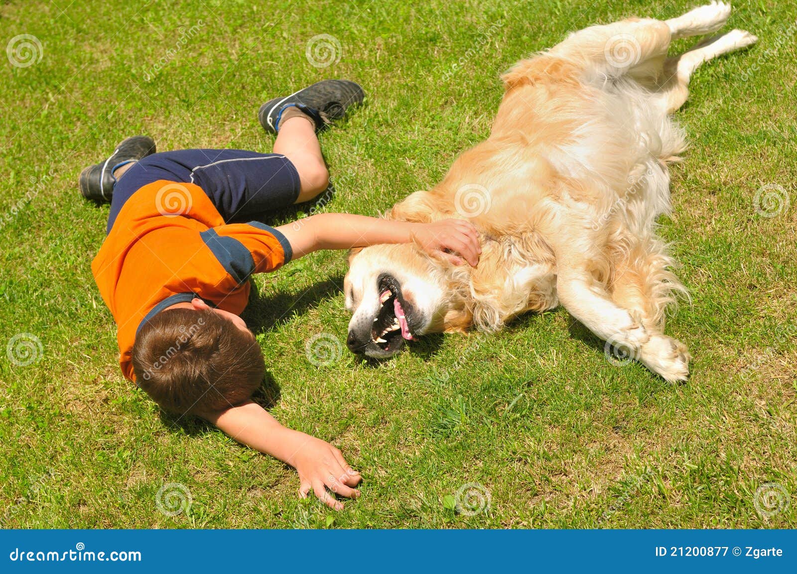 Boy and dog stock image. Image of play, domestic, beige - 21200877
