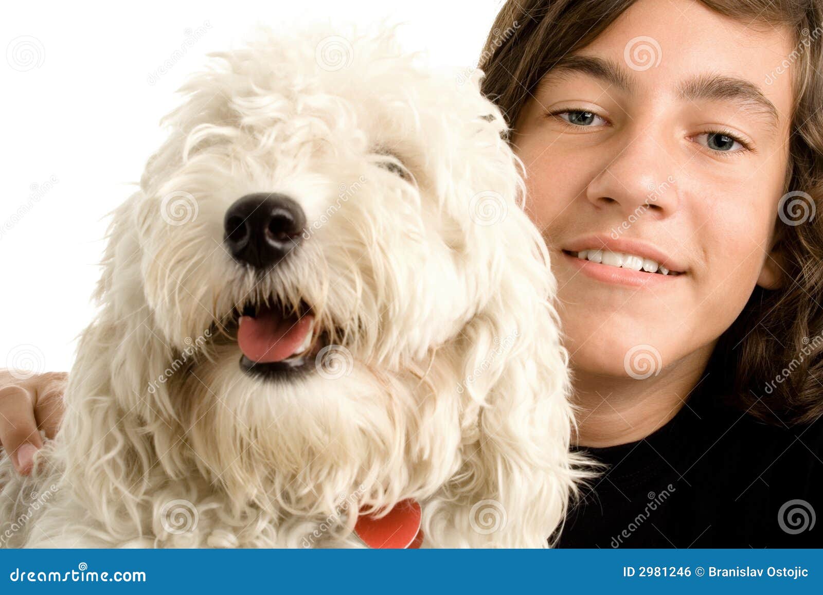 Boy and dog stock photo. Image of happy, male, boys, family - 2981246