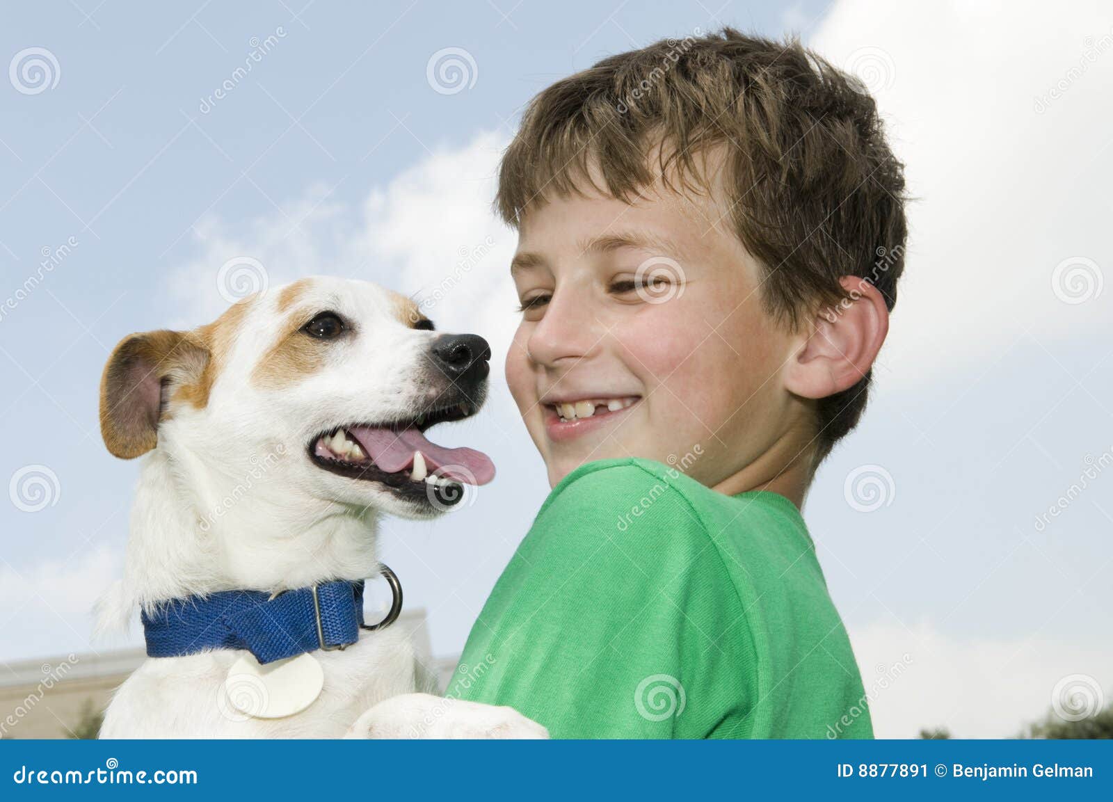 Boy with Dog stock image. Image of small, playful, domestic - 8877891