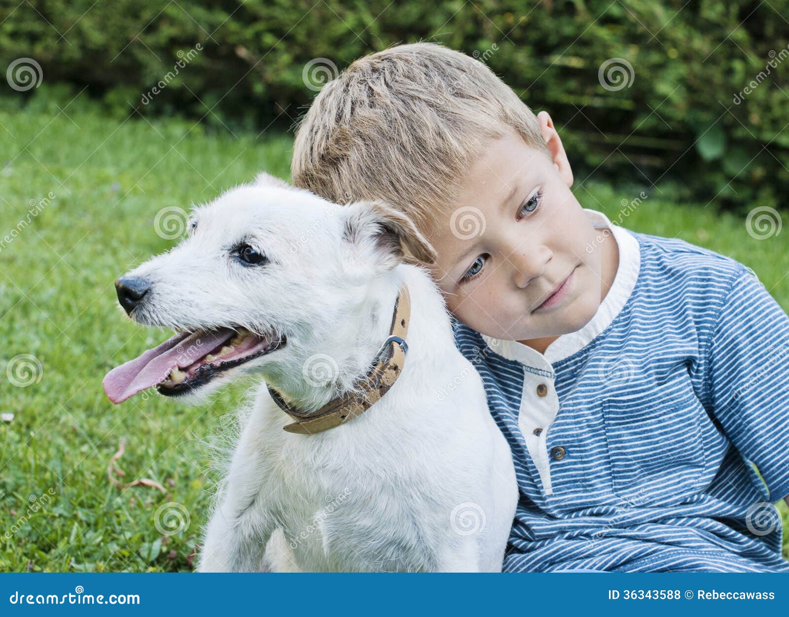 Young boy with dog stock photo. Image of friendly, hugging - 36343588