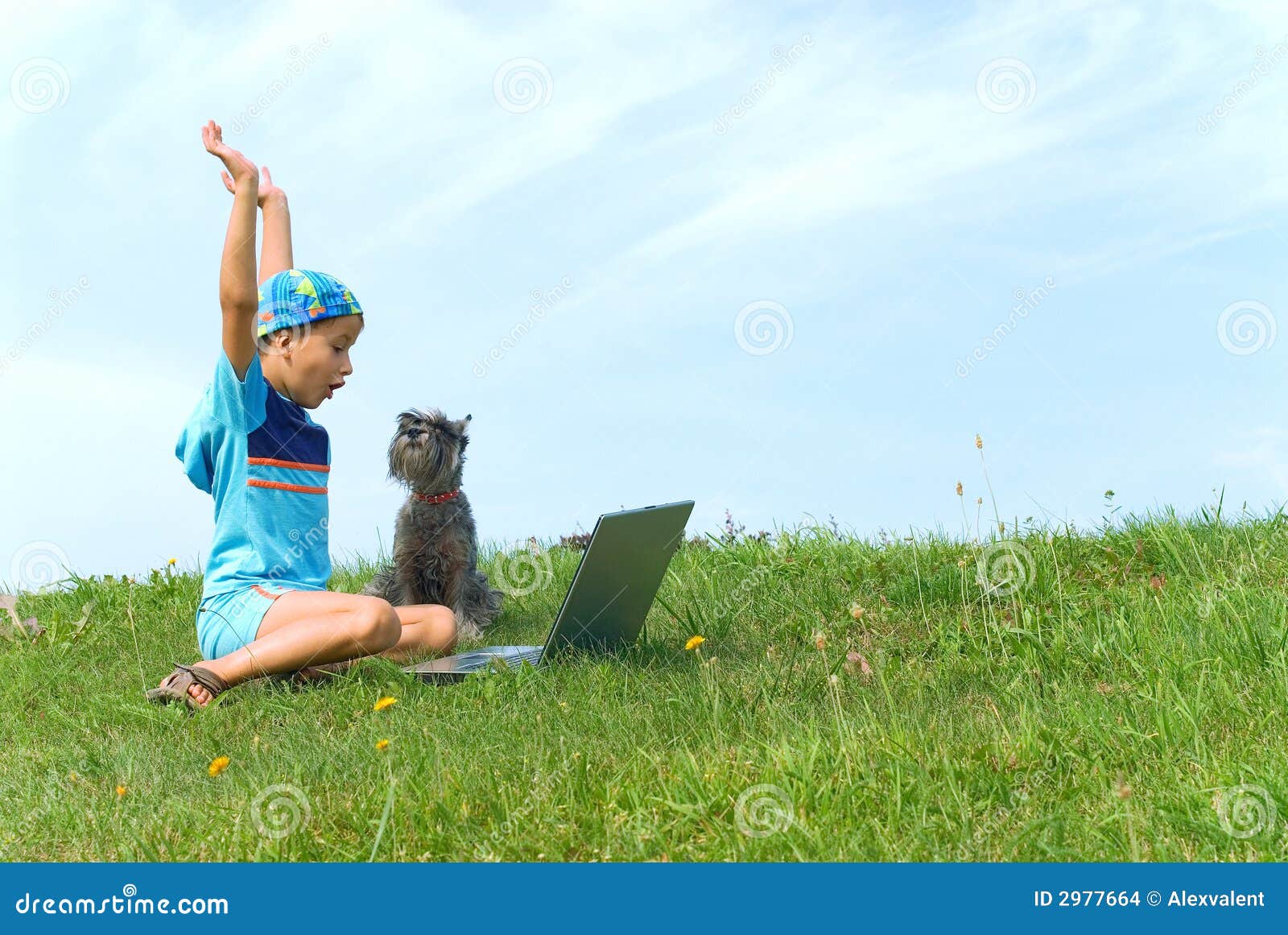 Dog Server Stock Photos - Free & Royalty-Free Stock Photos from Dreamstime