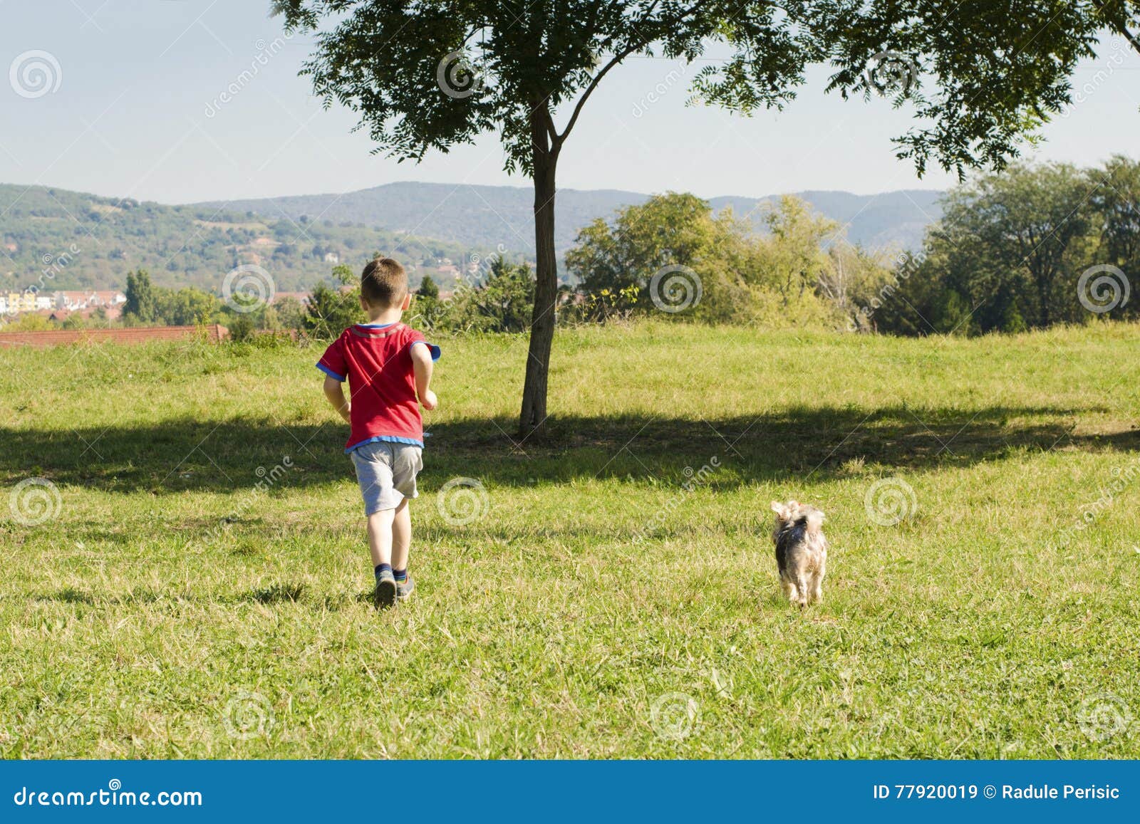 Boy with dog stock image. Image of cute, childhood, play - 77920019