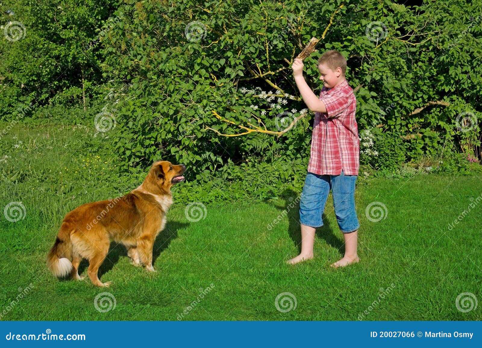 Boy and dog playing stock photo. Image of garden, meadow - 20027066