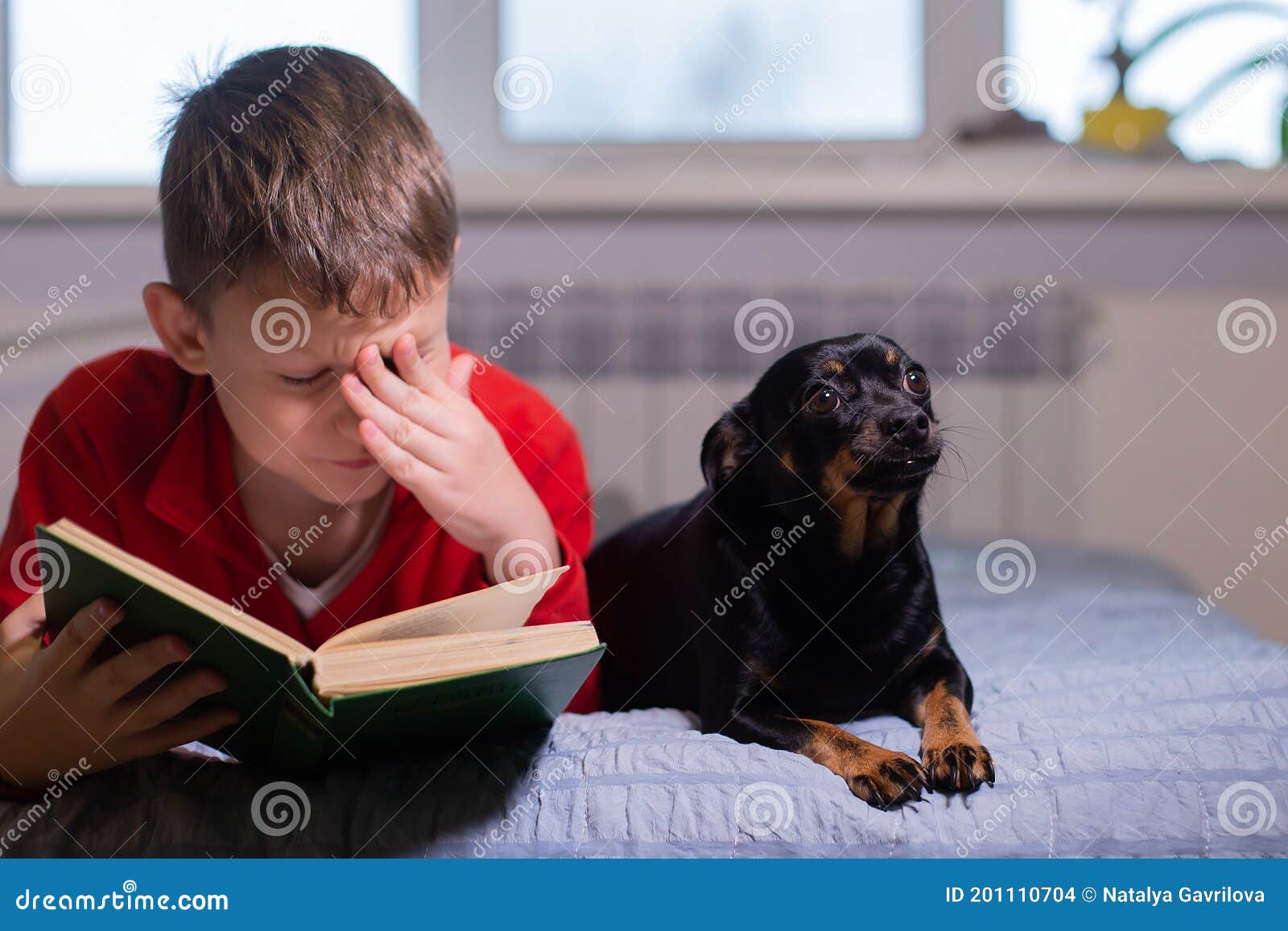 Boy with dog reads a book stock photo. Image of defender - 201110704