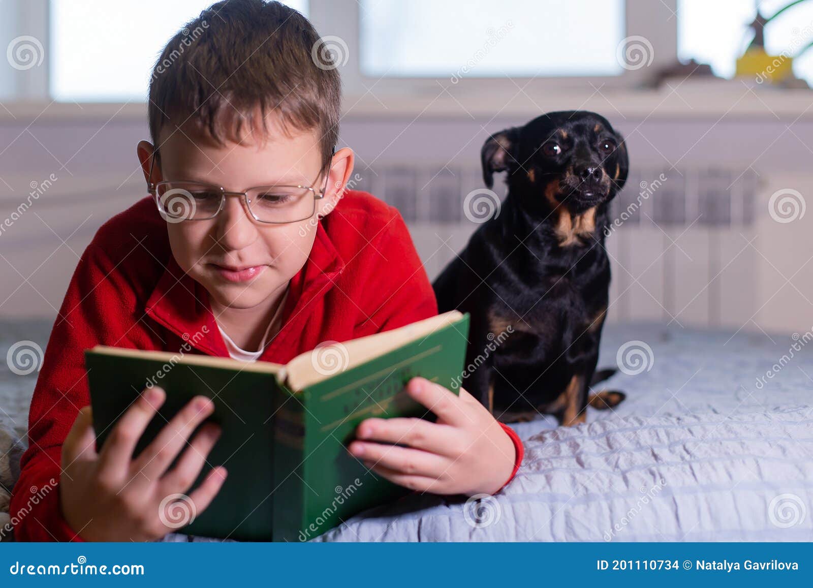 Boy with dog reads a book stock photo. Image of friend - 201110734