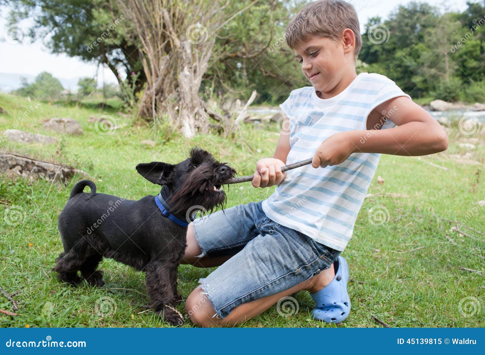 Boy and dog stock image. Image of branch, friendship - 45139815