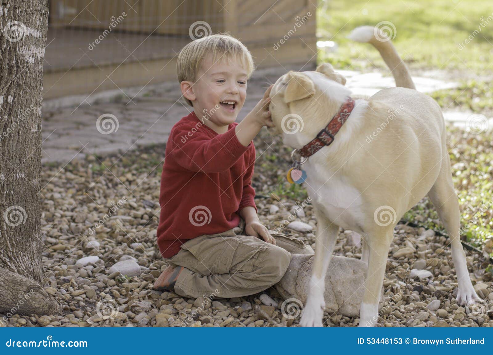 Boy with Dog stock image. Image of outdoors, petting - 53448153