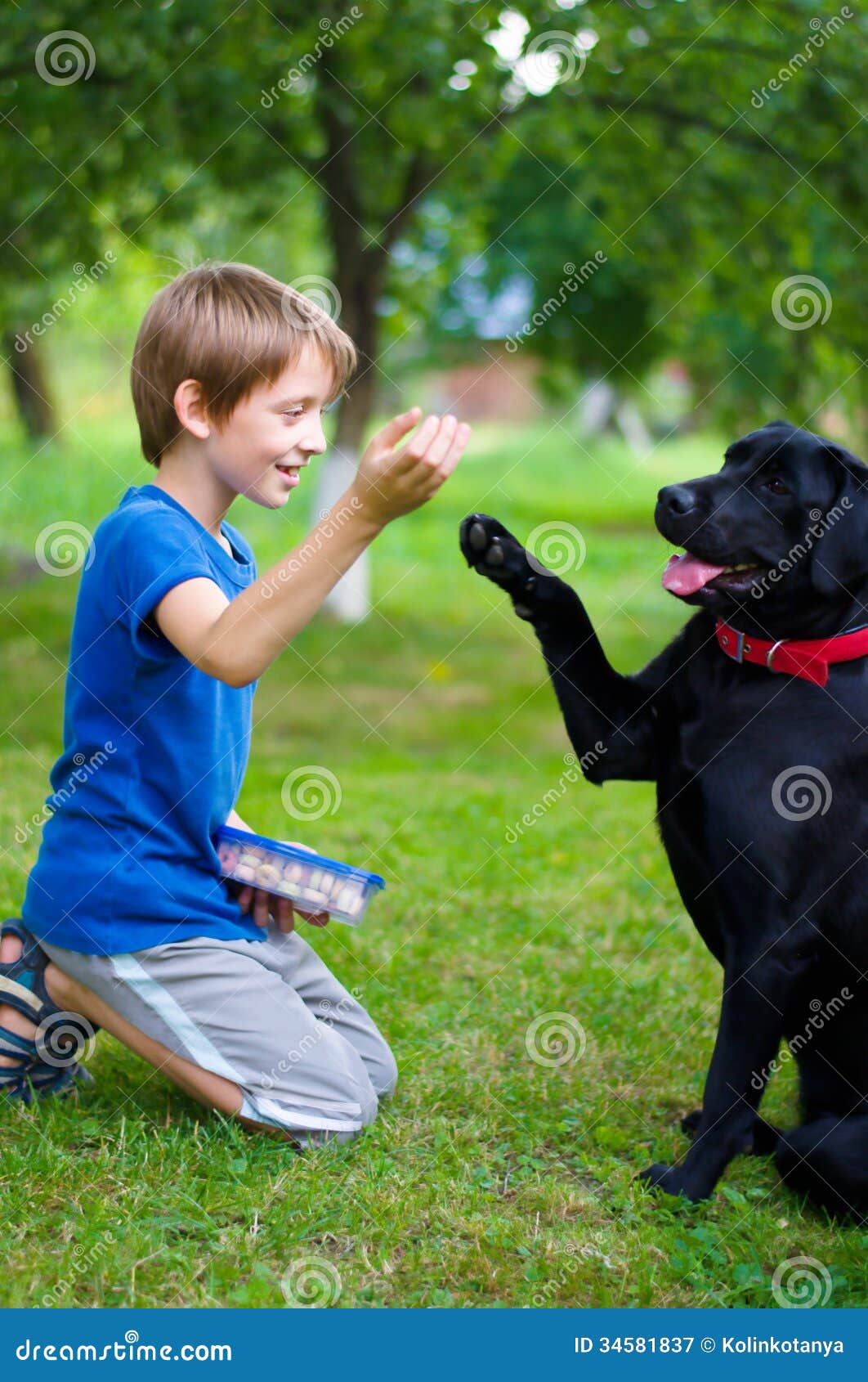 Boy with dog stock image. Image of nature, person, breed - 34581837