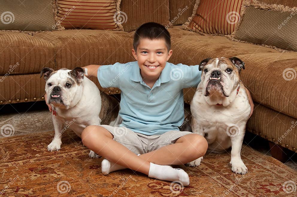 Boy and Dogs stock image. Image of purebred, cute, love - 20339173