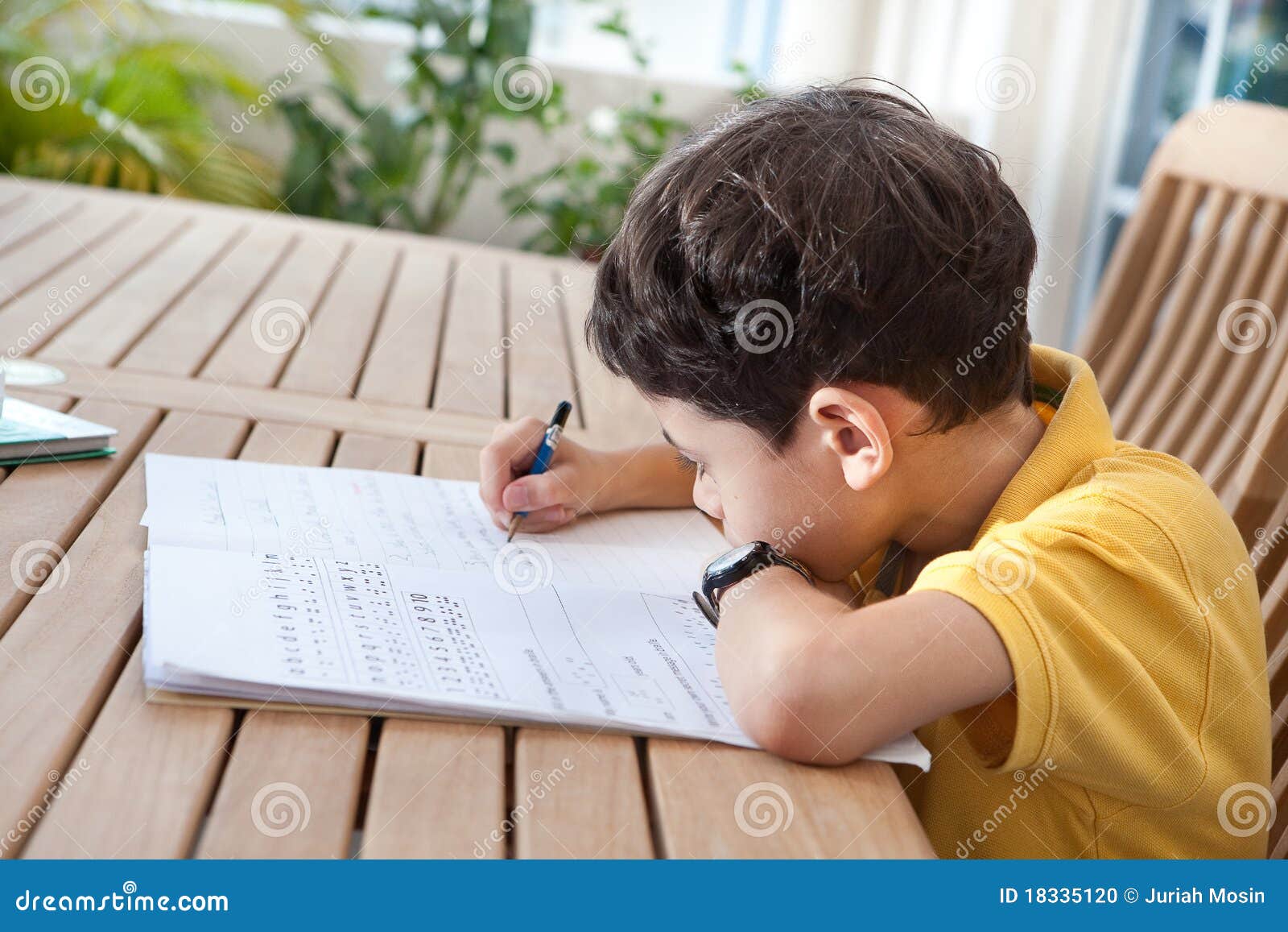 Boy Doing His Homework At Home Stock Photo - Image: 18335120