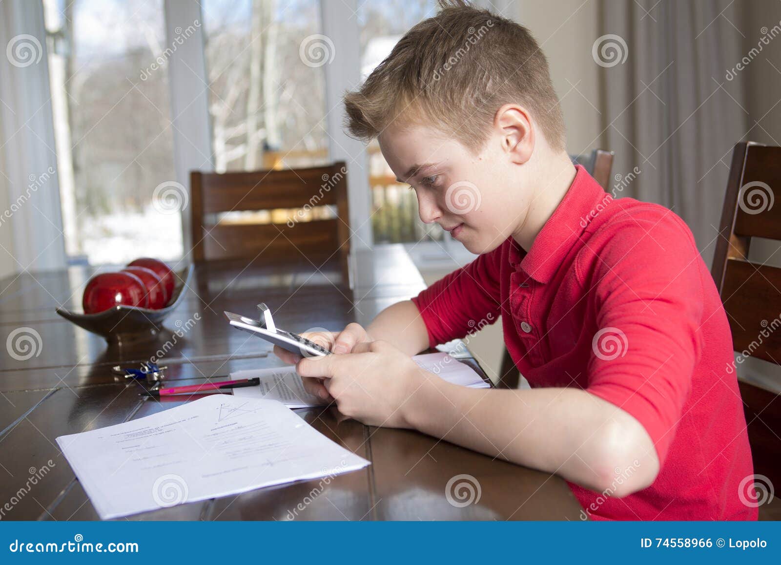 Boy Doing His Homework at Home Stock Photo - Image of school, teen ...