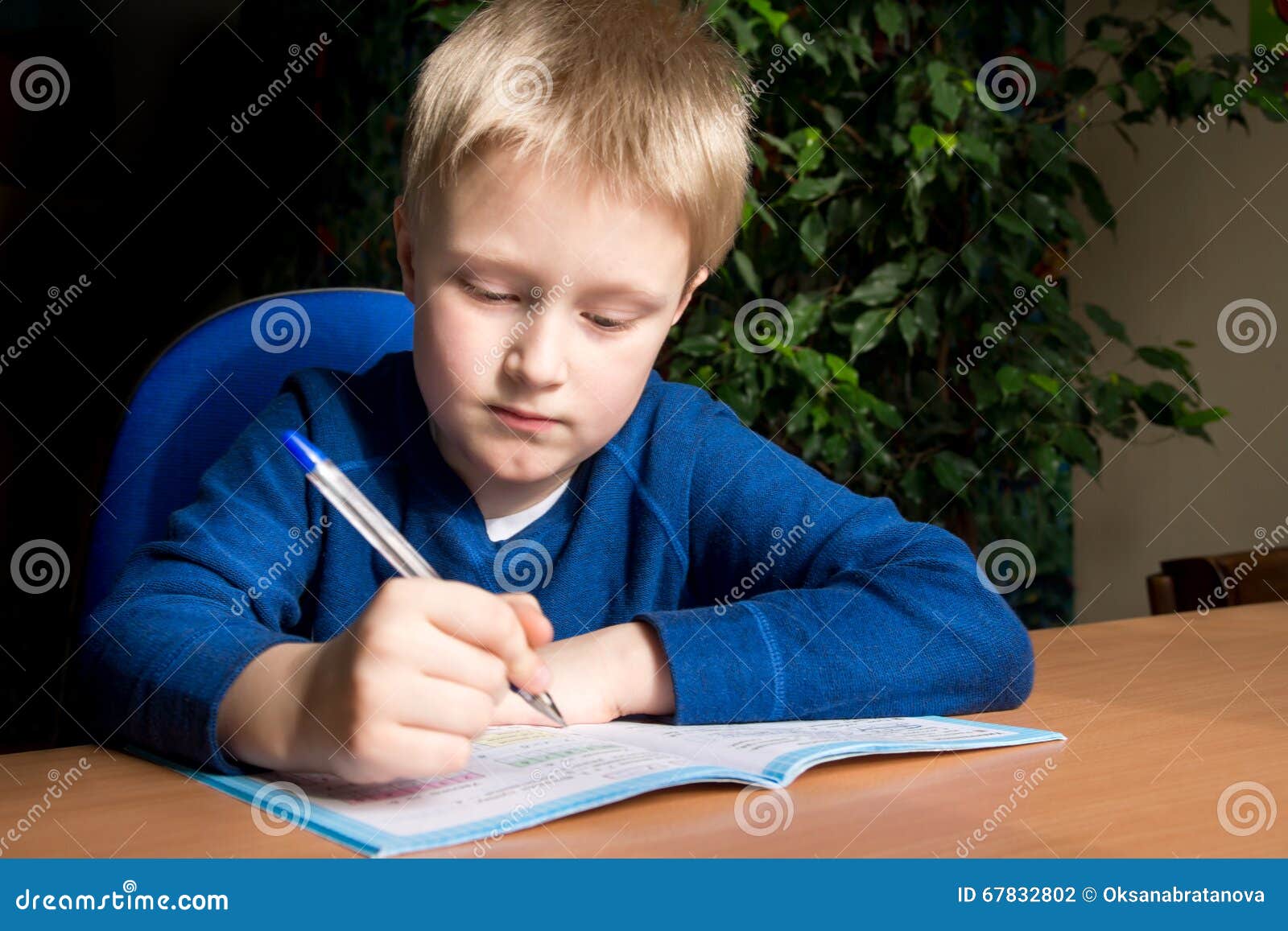 Boy Doing His School Homework Stock Photo - Image of caucasian, class ...