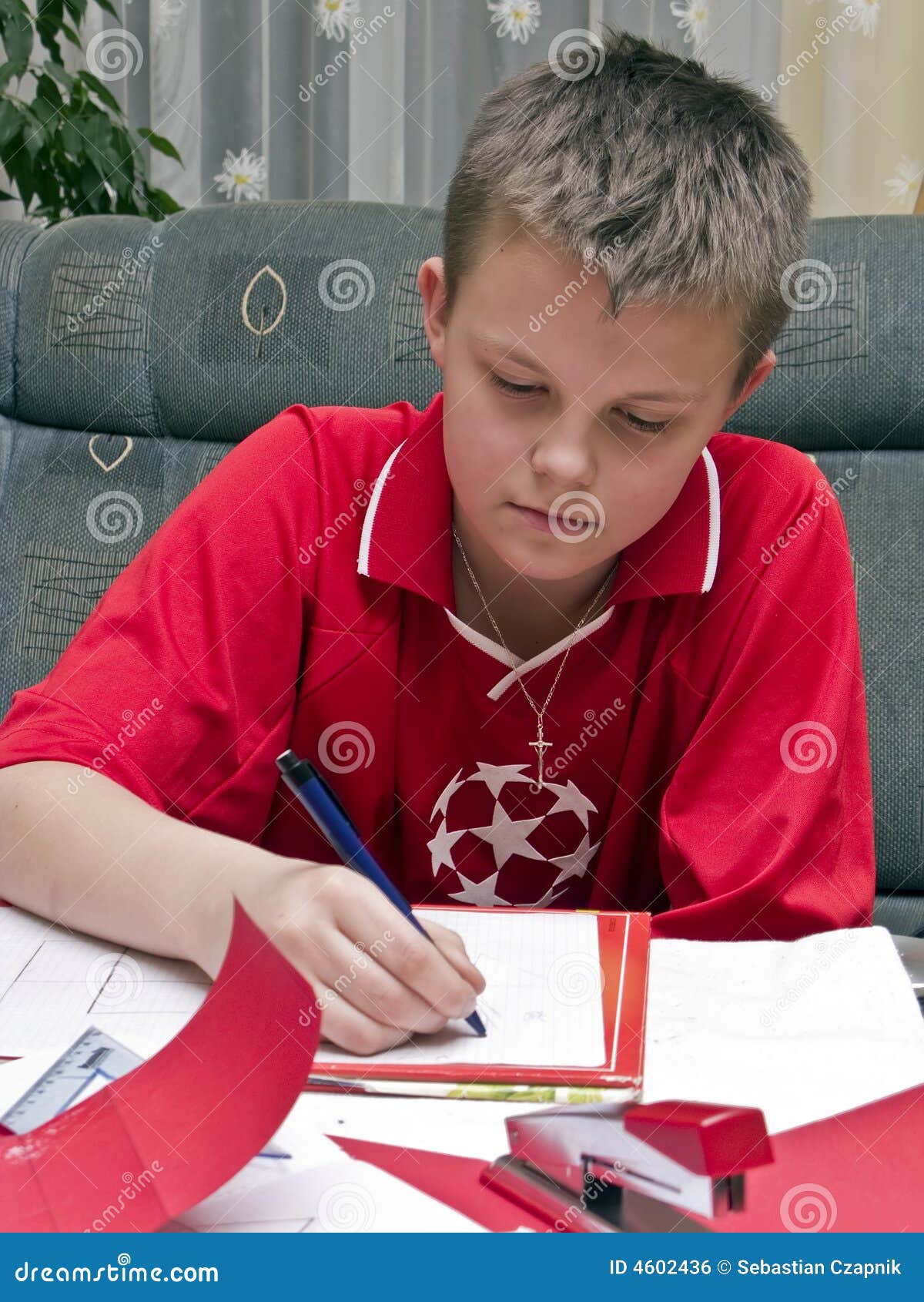 Boy doing homework stock photo. Image of cuts, student - 4602436