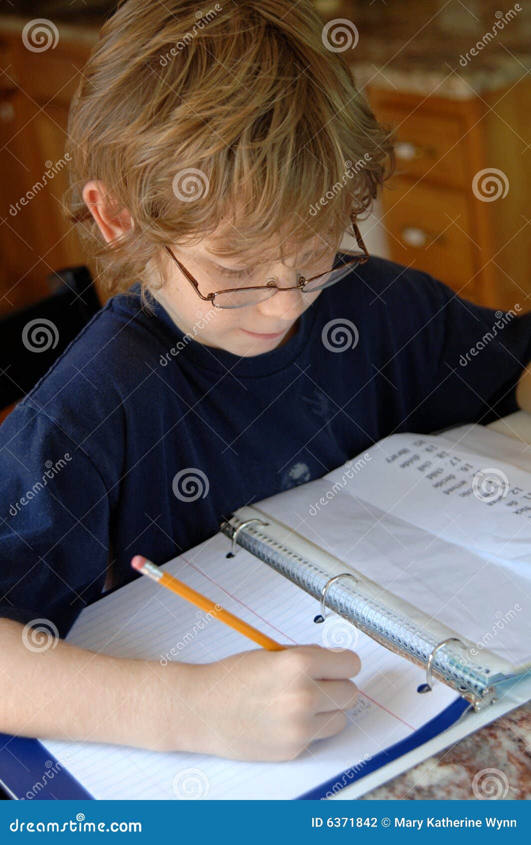Boy doing homework stock photo. Image of concentrate, paper - 6371842