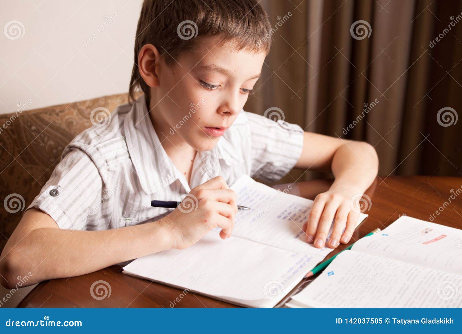 Boy doing homework stock image. Image of caucasian, home - 142037505