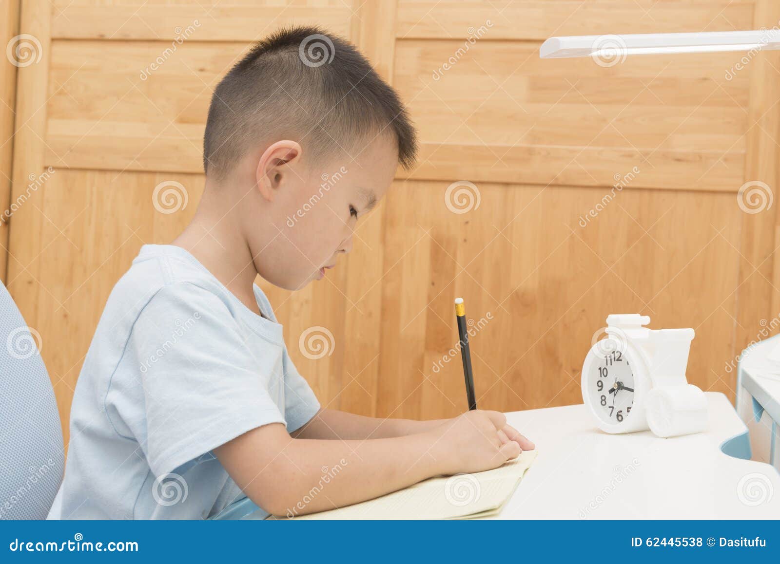 Boy doing homework stock photo. Image of efficiency, child - 62445538