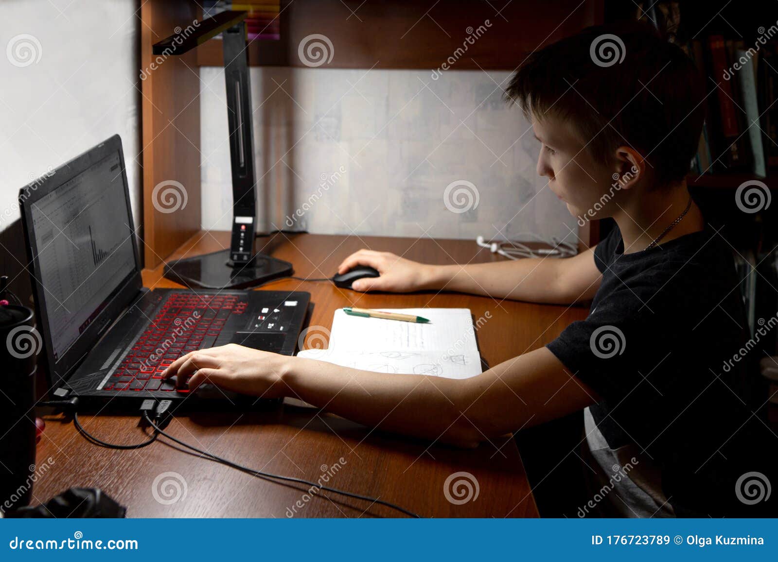 A Child in Front of a Computer. the Boy is Doing Homework. Distance ...