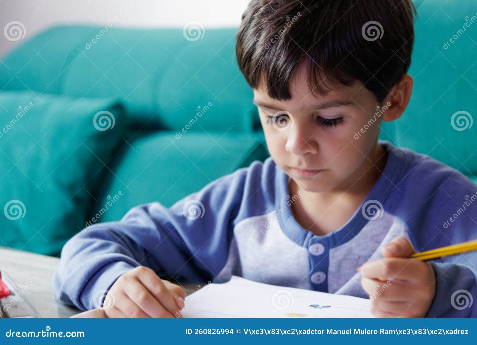 Boy doing homework at home stock photo. Image of cute - 260826994