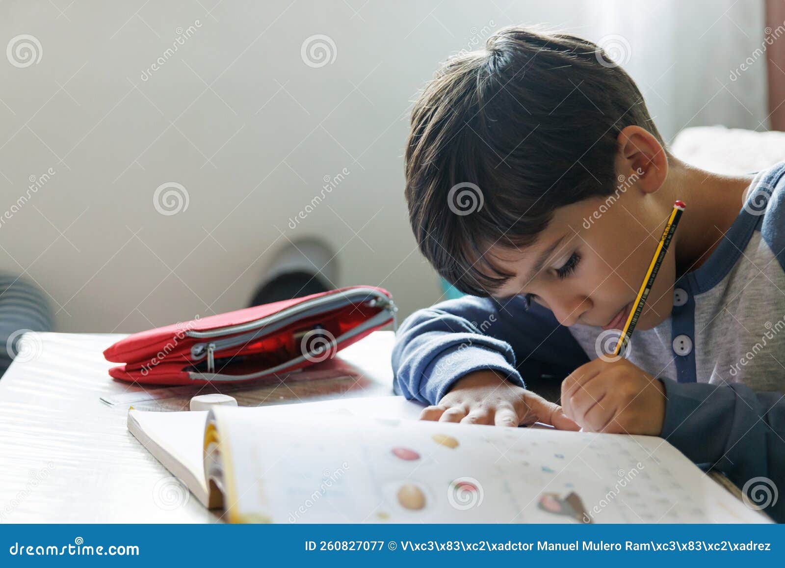 Boy doing homework at home stock image. Image of pupil - 260827077