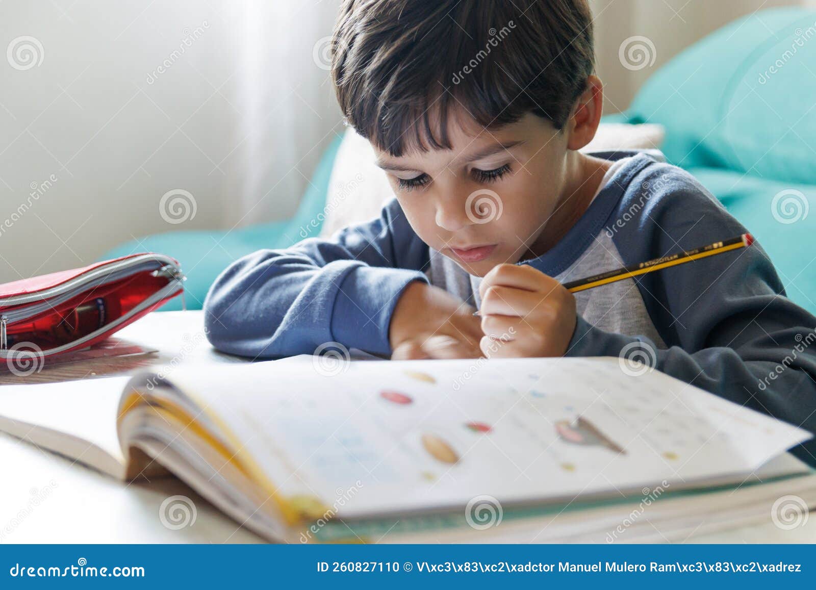 Boy doing homework at home stock photo. Image of cute - 260827110