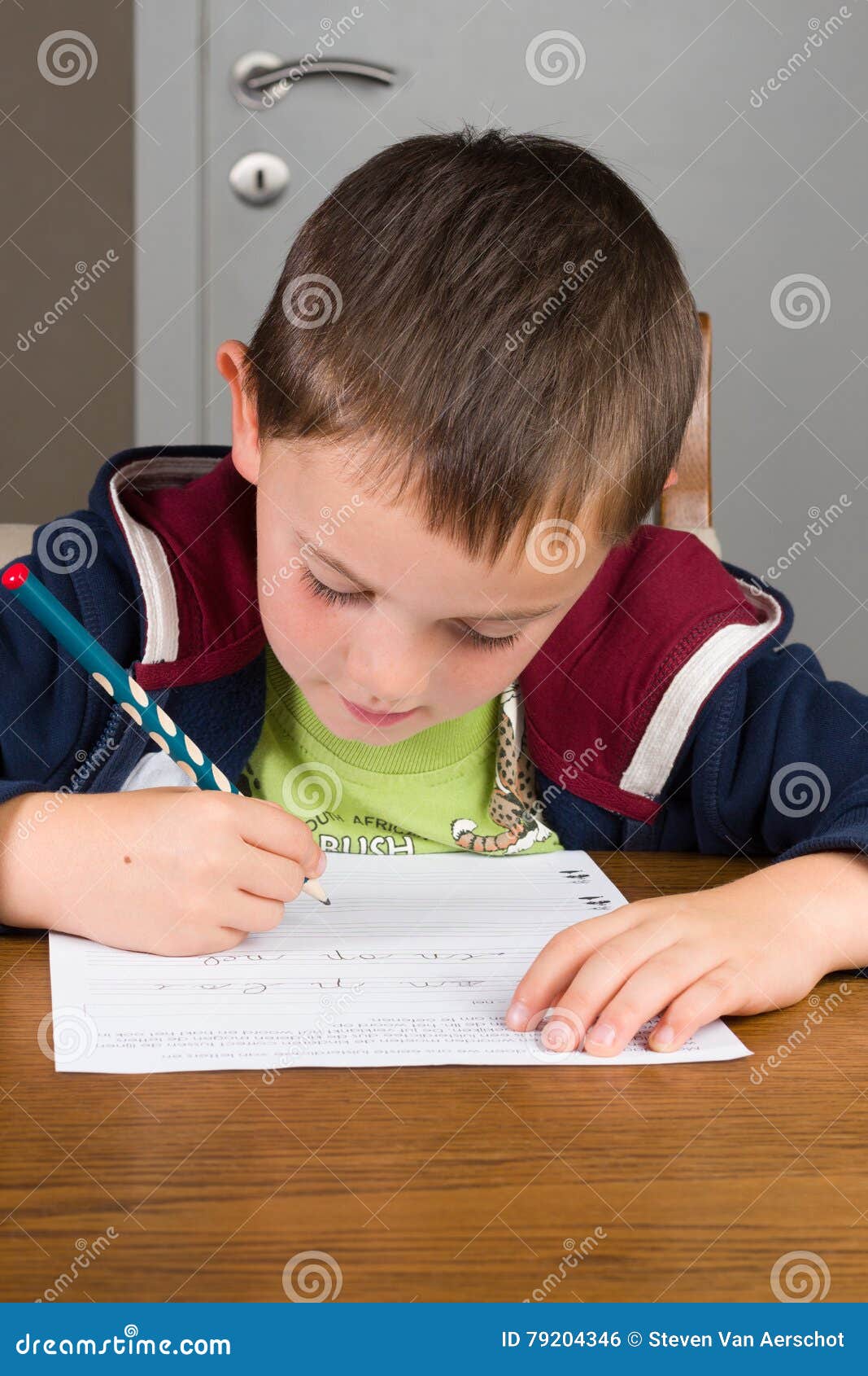 Boy doing homework stock photo. Image of male, pupil - 79204346
