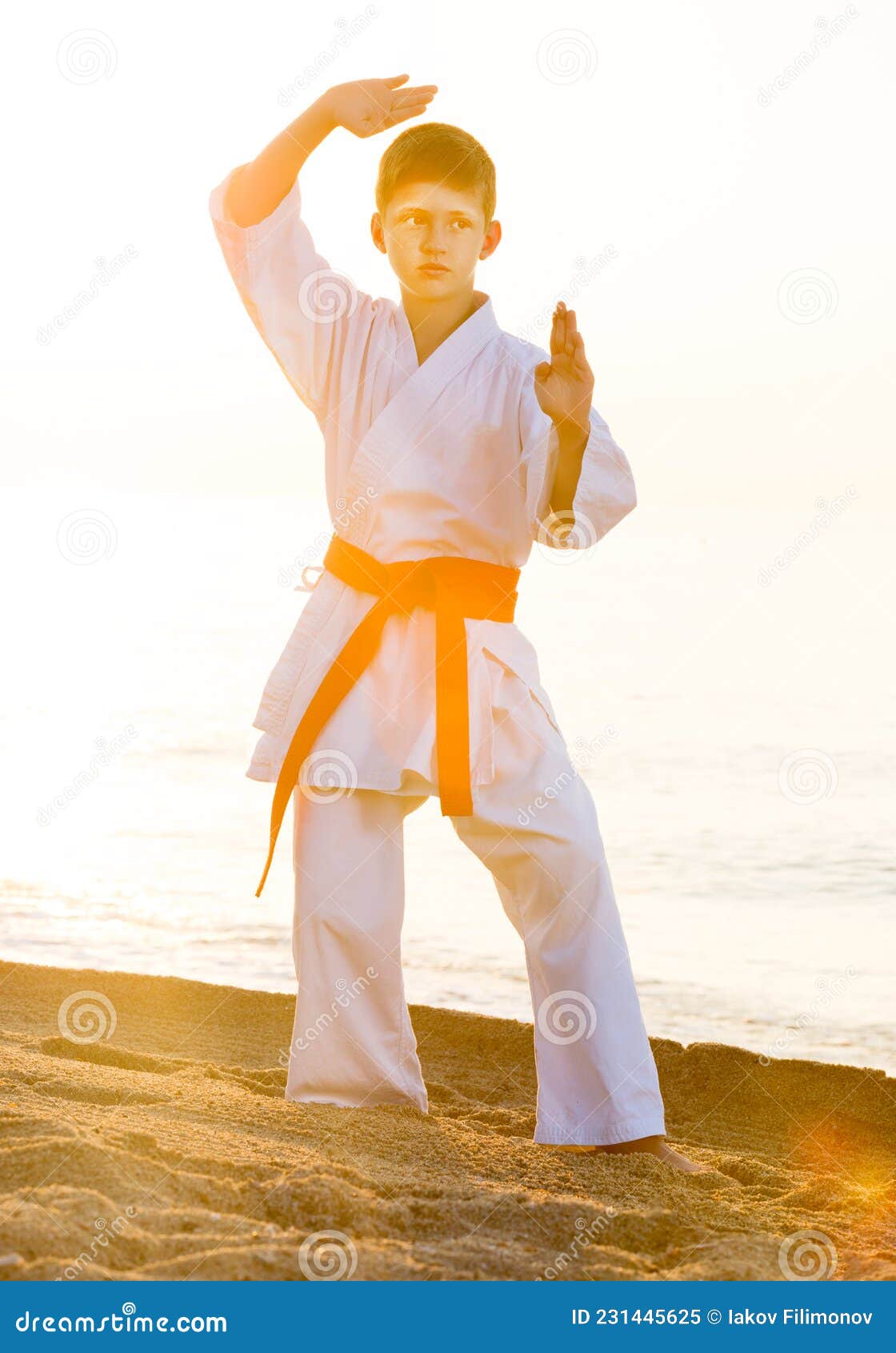 Boy doing karate poses stock image. Image of action - 231445625