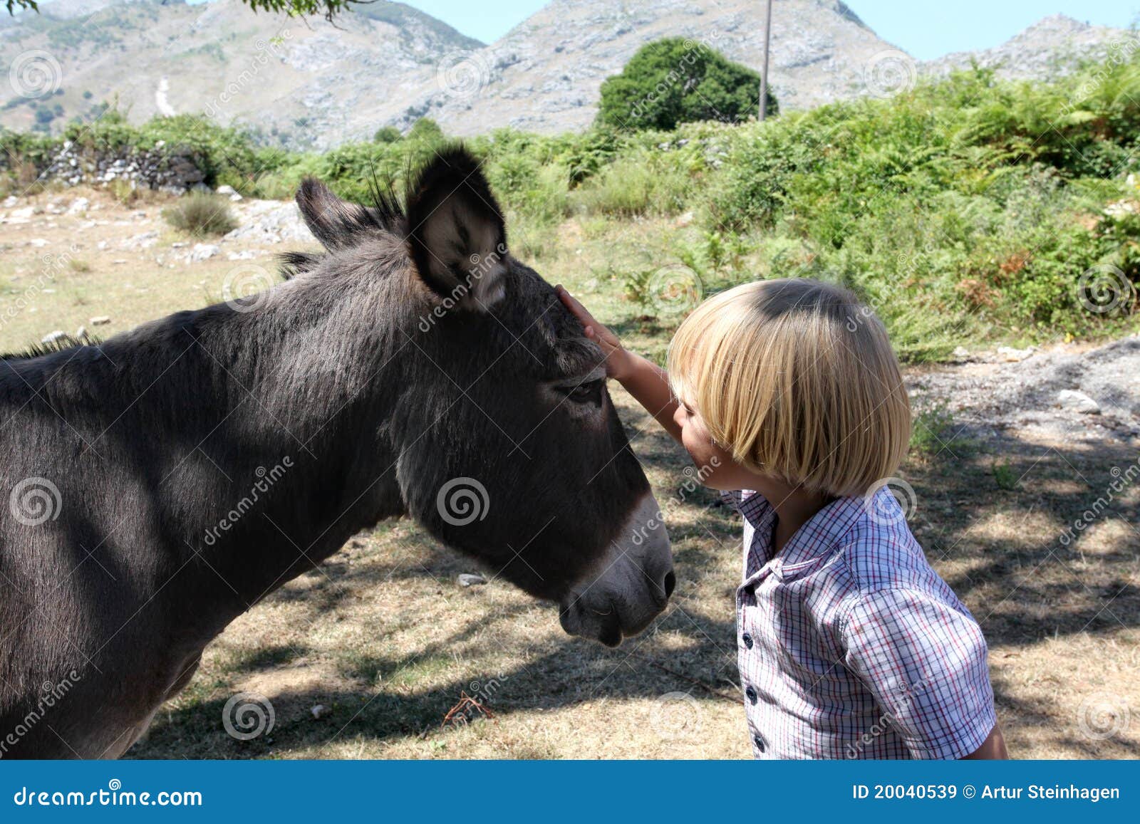 Boy with the donkey stock image. Image of gora, donkey - 20040539